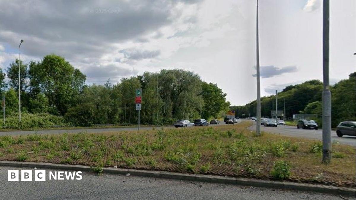 Overgrown motorway roundabout branded a 'complete eyesore' - BBC News