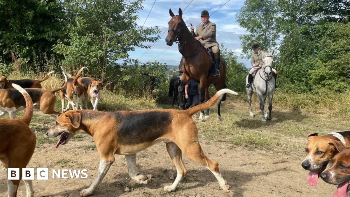 Trail hunting: What could a ban mean for Yorkshire's hunts? - BBC News