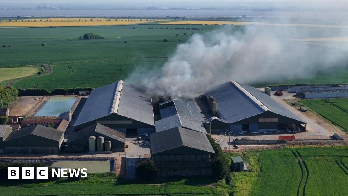 Cause of fire that killed goats in Ottringham barn established - BBC News