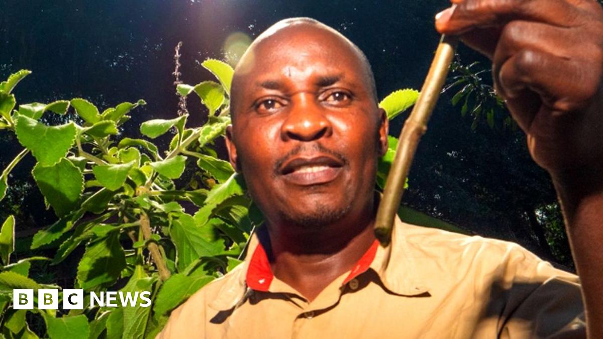 The Kenyan plant specialist making the case for traditional African ...