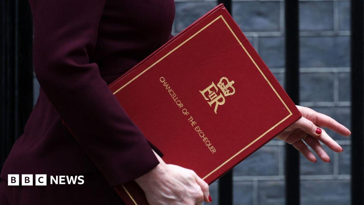 Labour peer calls for Treasury to be abolished - BBC News