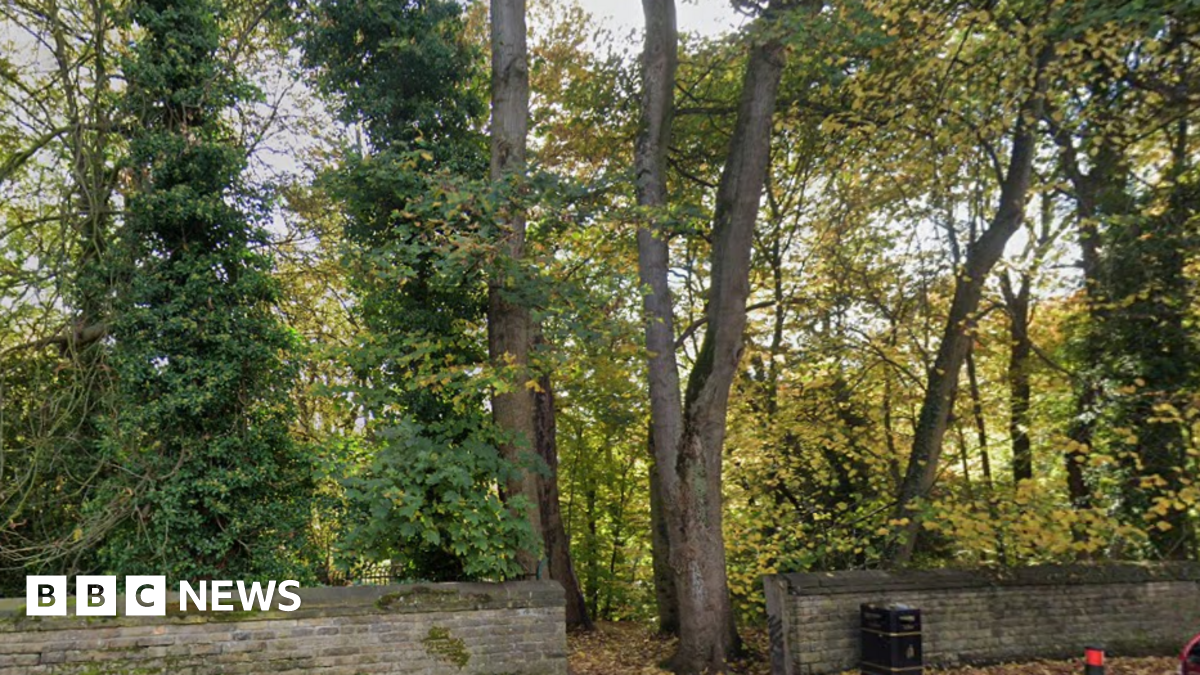 Man wanted over indecent exposure in Endcliffe Park, Sheffield - BBC News