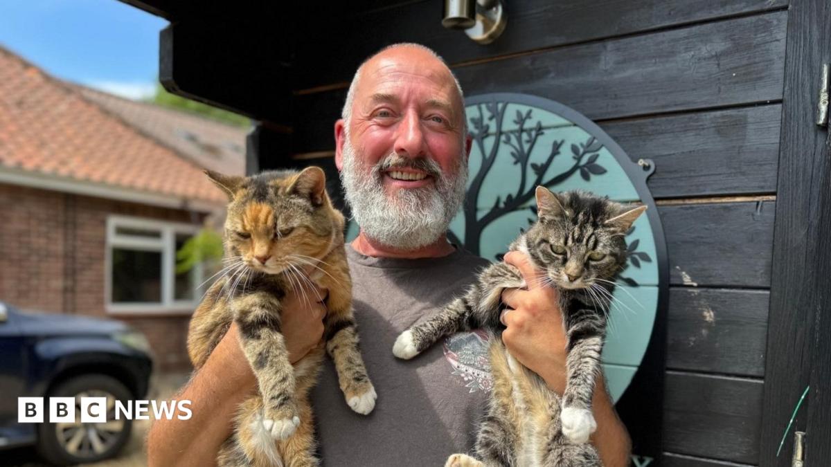Catteries in Norfolk struggling to meet summer holiday demand - BBC News