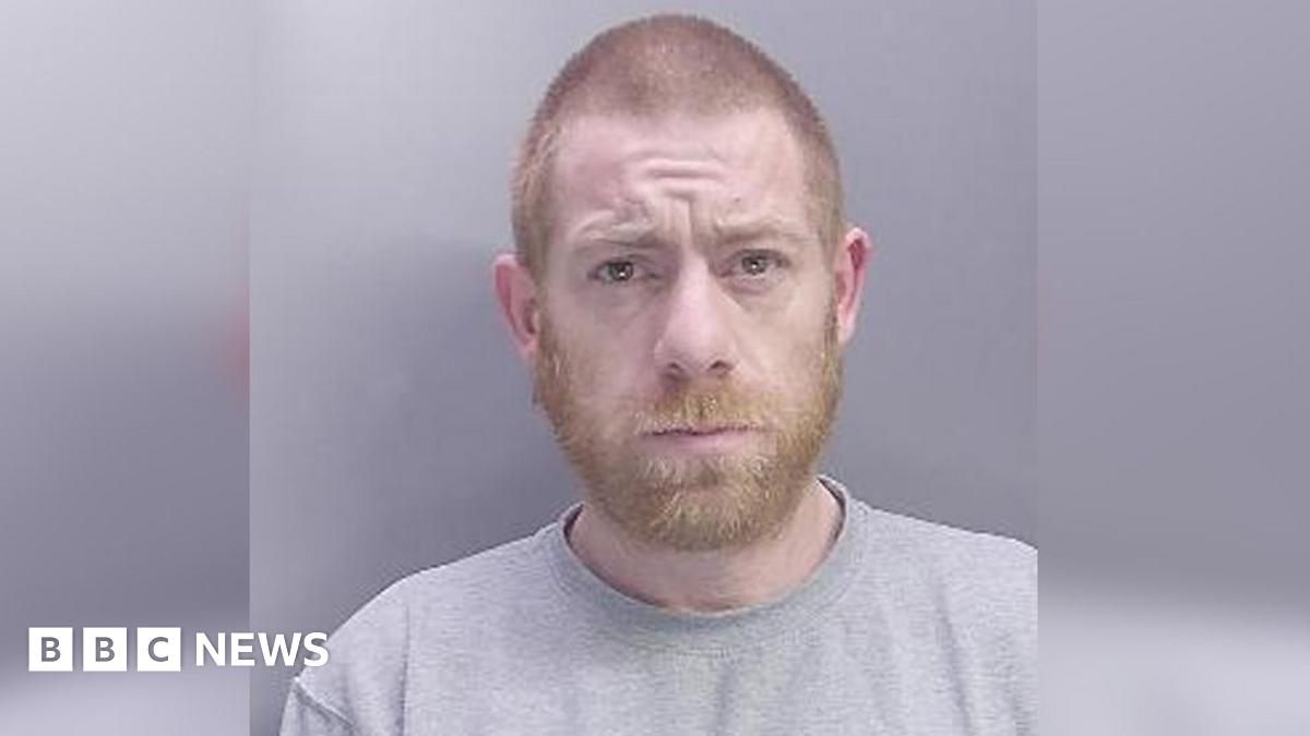 Cambridge burglar captured on CCTV is jailed - BBC News