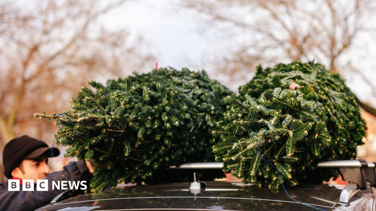 Trudeau plays Santa with seasonal tax break on toys, sweets and trees ...