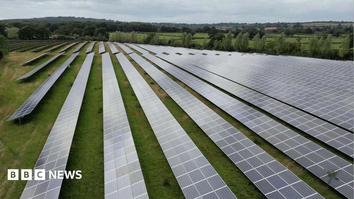 Norfolk expert: Solar farms 'vital' for UK's energy security - BBC News