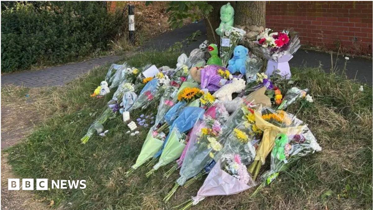Family's search for boy, 2, found dead in Wolverhampton canal - BBC News