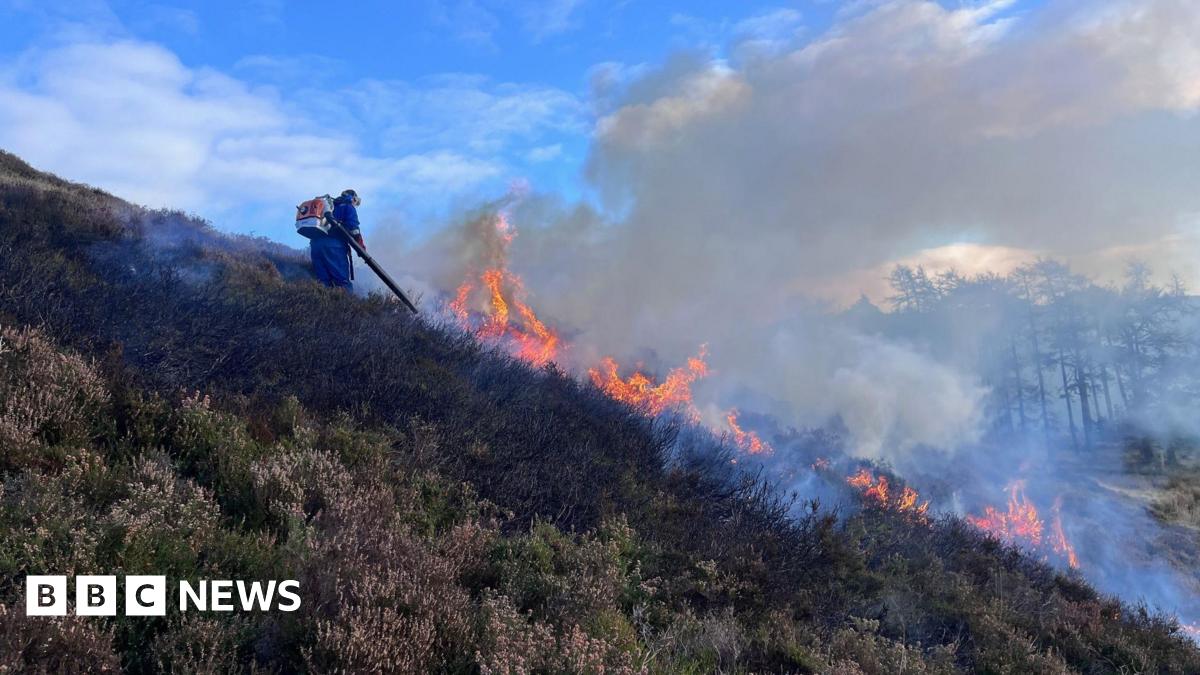 How leaf blowers and jet washers are tackling wildfires - BBC News