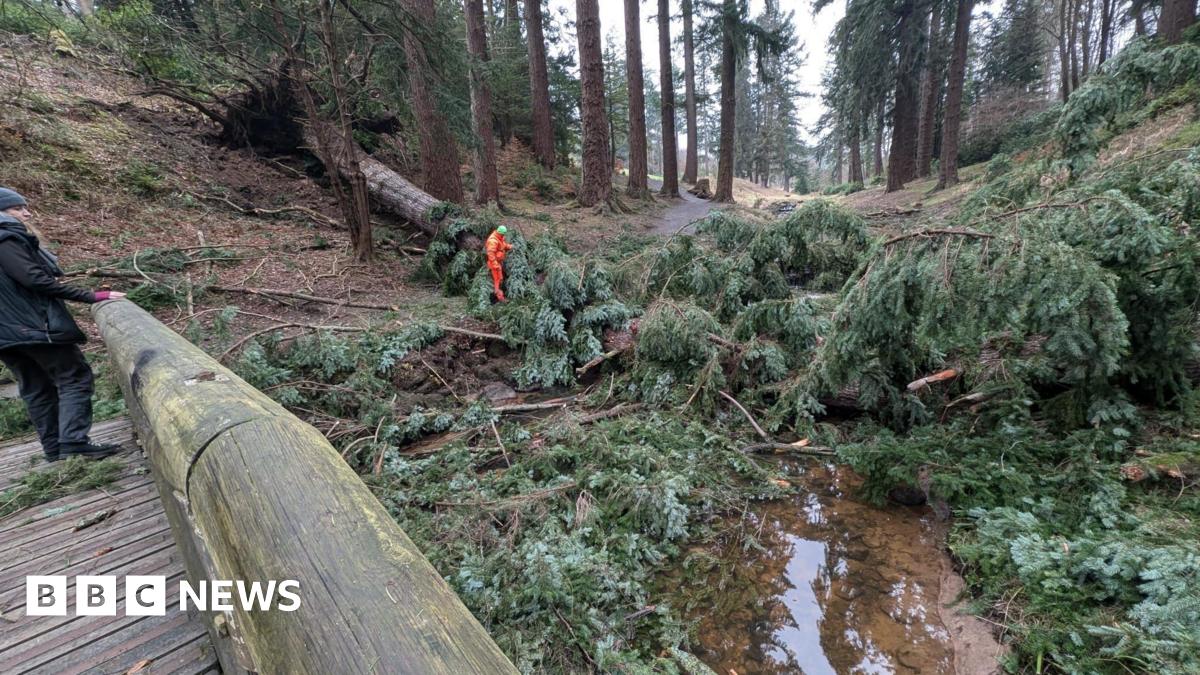 Northumberland's Cragside loses trees to Storm Éowyn - BBC News
