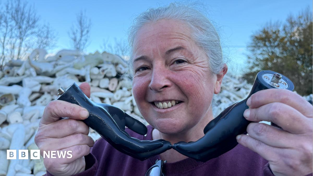 Roz Edwards: Who is Lincolnshire's Mannequin Lady? - BBC News