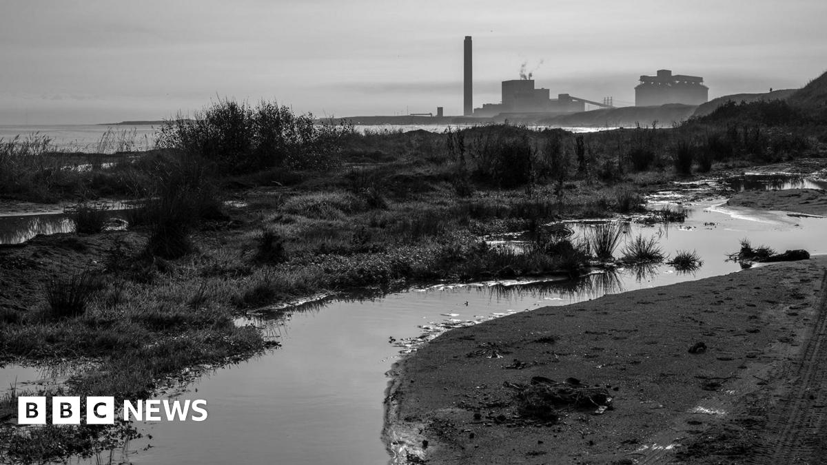 Exhibition depicts cleanup of industrial site at Lynemouth - BBC News