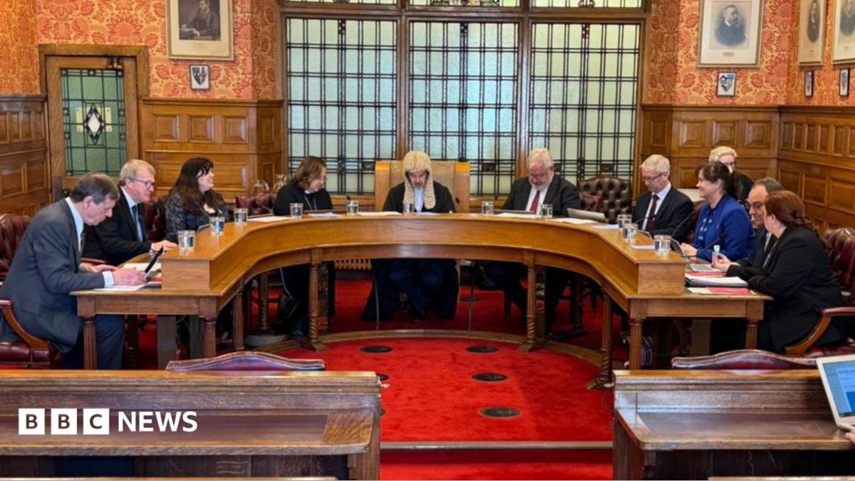 Newly elected MLCs given Isle of Man government department roles - BBC News