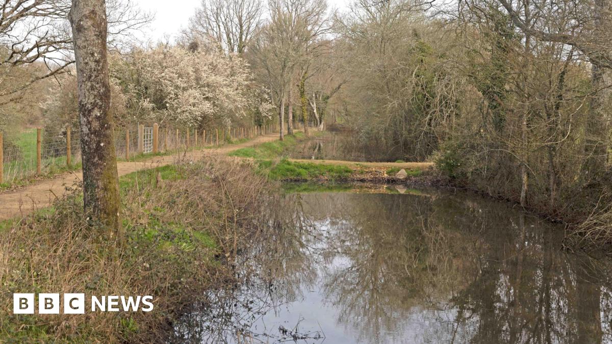 Wey and Arun Canal restoration a step closer following purchase - BBC News