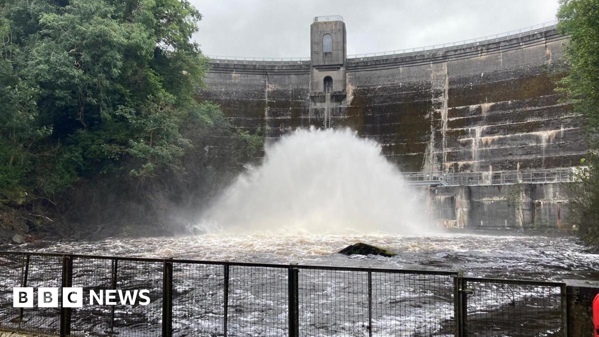 River Dee's salmon decline prompts Galloway Hydro Scheme help - BBC News
