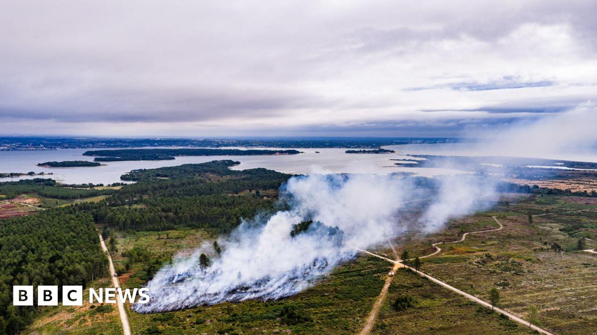 Spate of Dorset heath fires 'likely deliberate' - fire service - BBC News