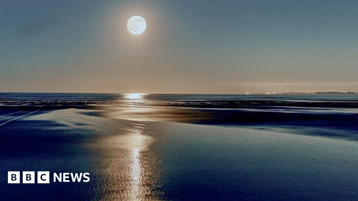 Your pictures on the theme of 'moonlight' - BBC News