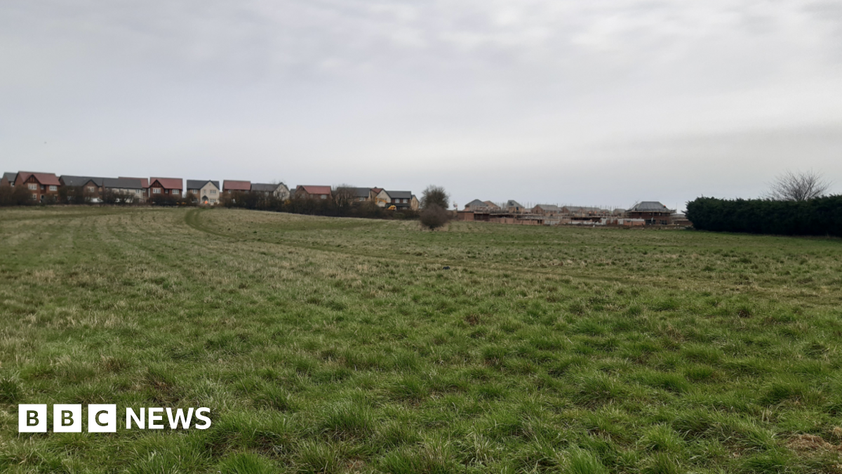 Decision day for new homes in Sunderland amid road concerns - BBC News