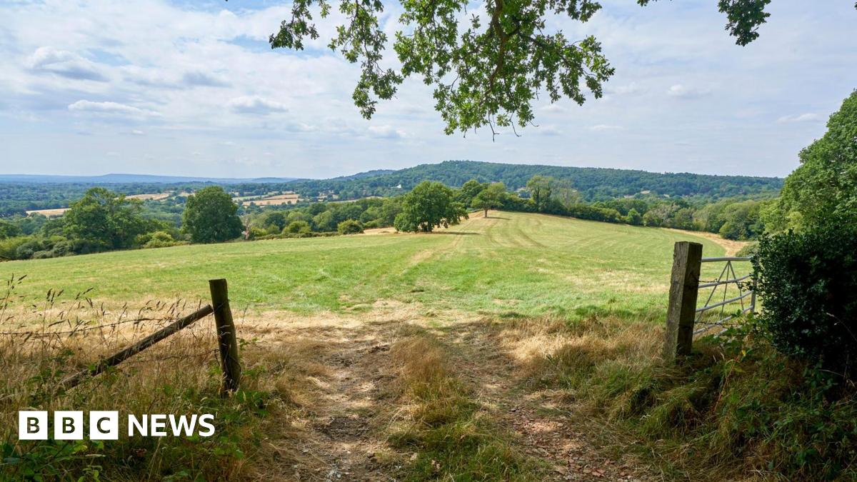 Warning bill will 'tragically' damage Surrey countryside - BBC News