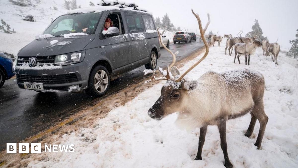 UK weather live updates: Snow showers force school closures, with ...