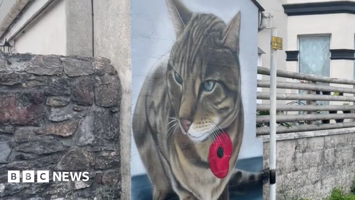 Mural painted in memory of Plymouth 'Morrisons cat' - BBC News