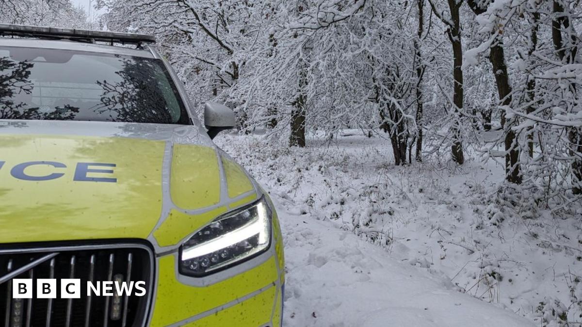 Snow in Essex prompts 690 emergency police calls in four hours - BBC News