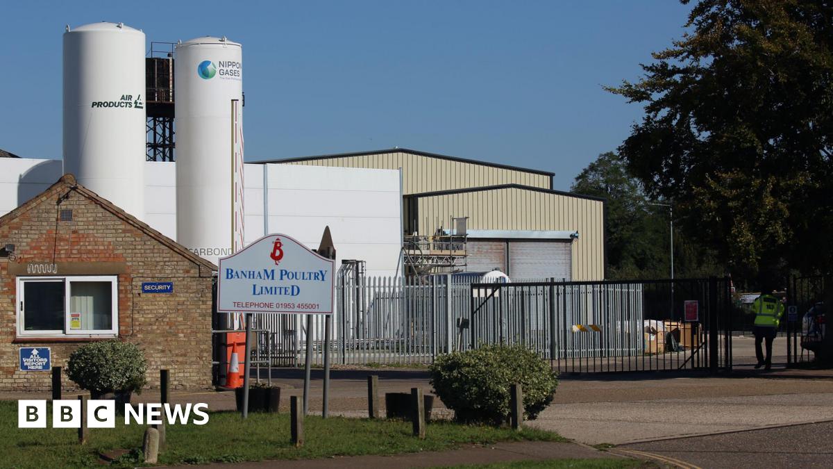 Staff details stolen in Banham Poultry cyber attack - BBC News
