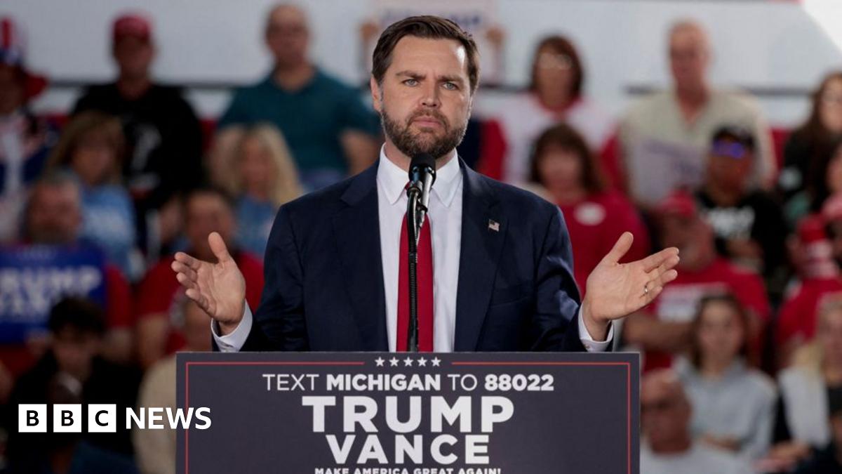 JD Vance: A quick guide to the vice-president-elect - BBC News