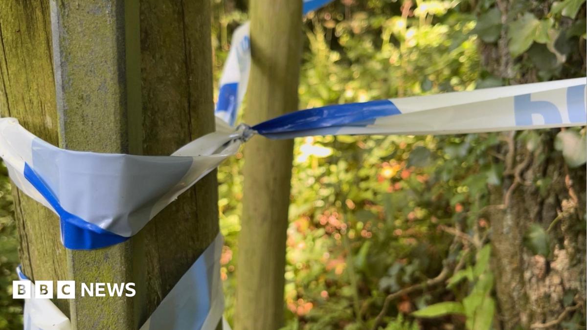 Police confirm 'body' found near Honiton was not human - BBC News