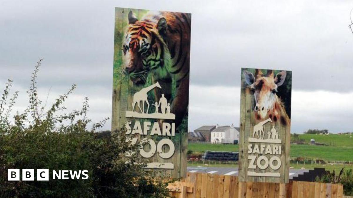 Conditions added to South Lakes zoo licence after inspection - BBC News