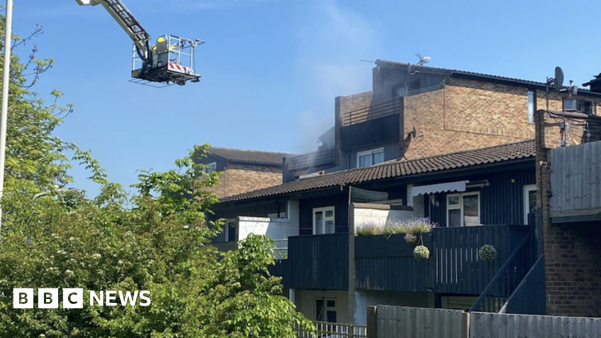 Man and dogs rescued from fire in Basildon flats - BBC News