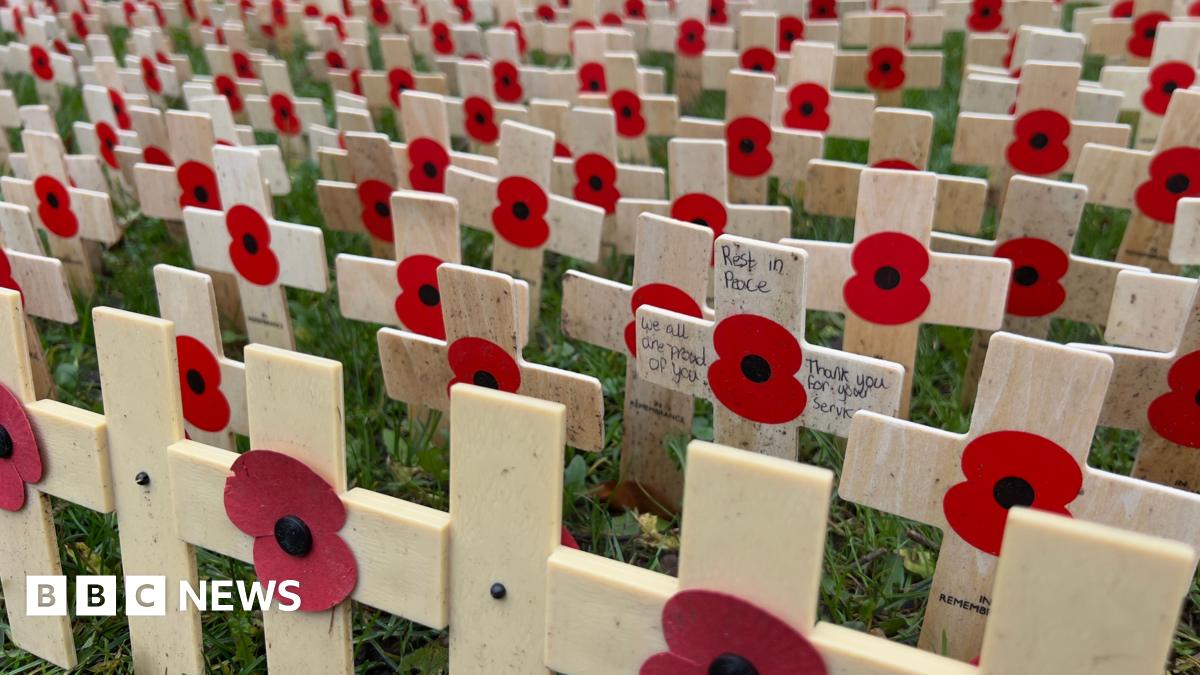 Cardiff Castle hosts Field of Remembrance ahead of Armistice Day - BBC News