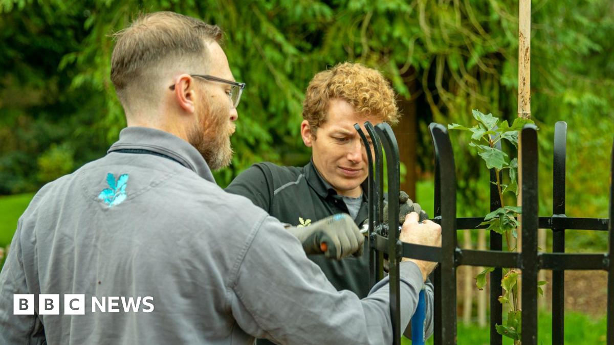 Whipsnade Tree Cathedral has new saplings to restore memorial - BBC News