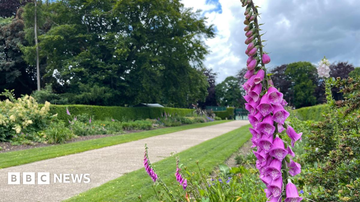 Norwich's Heigham Park celebrates centenary with community - BBC News