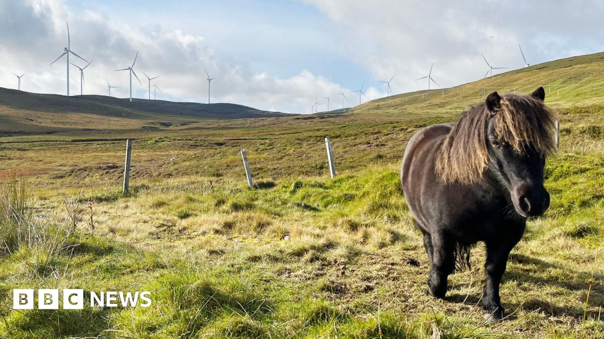 New Shetland windfarm could power nearly 500,000 homes - BBC News