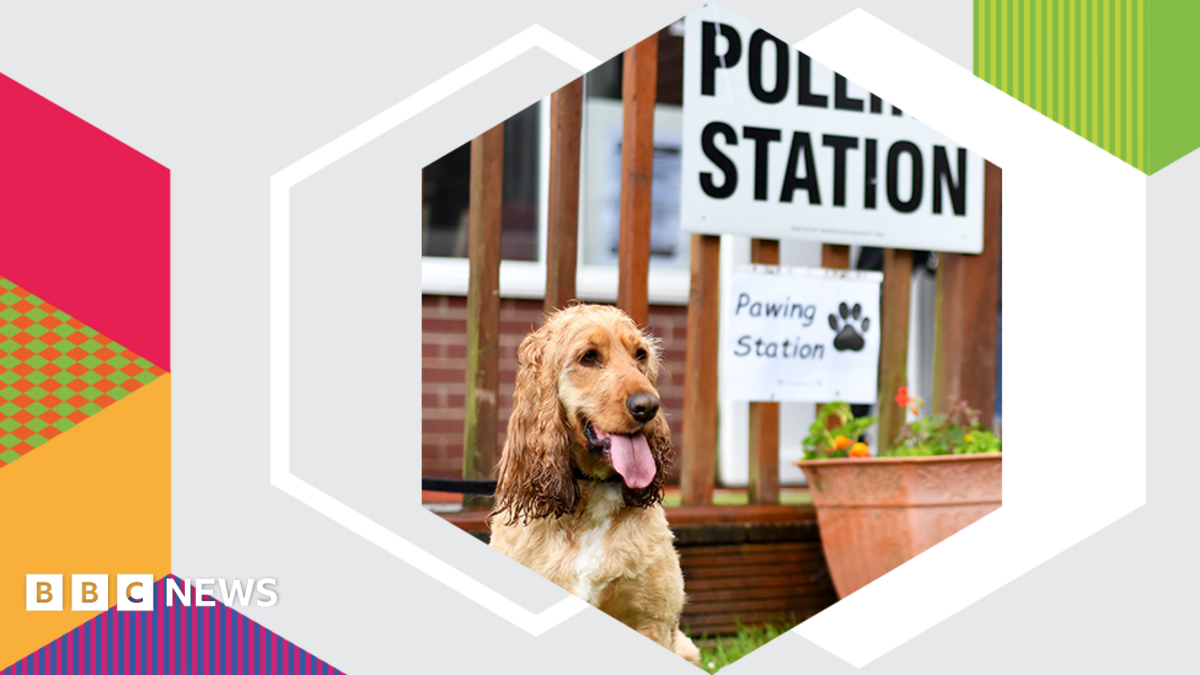 Local elections 2024: How the BBC is reporting the results - BBC News