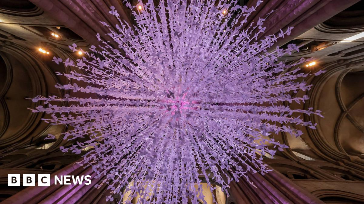 Durham Cathedral's Peace Doves installation unveiled - BBC News