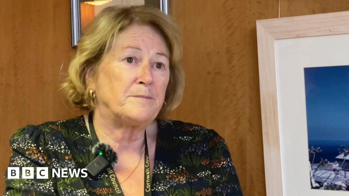Cornwall Council leader survives vote of no confidence - BBC News