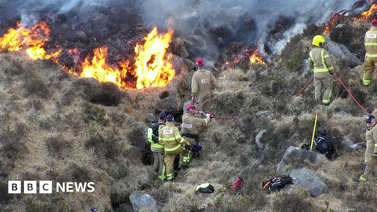 Wildfires: First warning of the year issued in Northern Ireland - BBC News