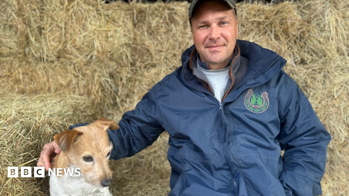 Farmers warn of hay shortage due to extreme weather - BBC News