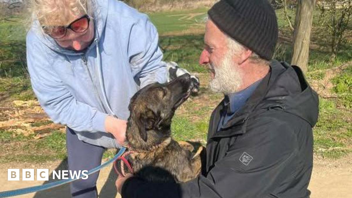 Missing dog found in Rotherham thanks to drones and Greggs - BBC News