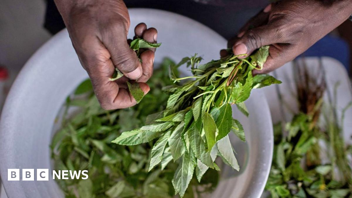 Why Kenya's forgotten indigenous vegetables are proving a culinary hit ...