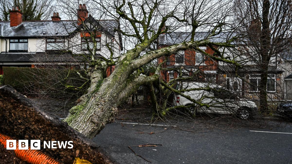 Storm Éowyn: Compensation decision should have been 'quicker' - BBC News