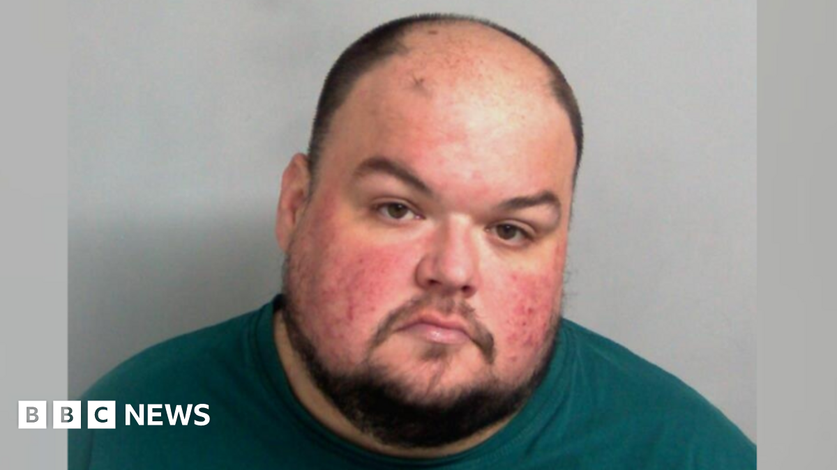 Holly Willoughby attack plotter to appeal against sentence - BBC News