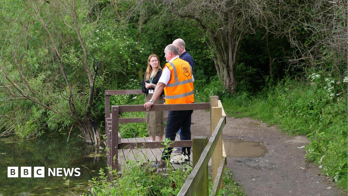 Torched Durham nature reserve pond feature restored - BBC News