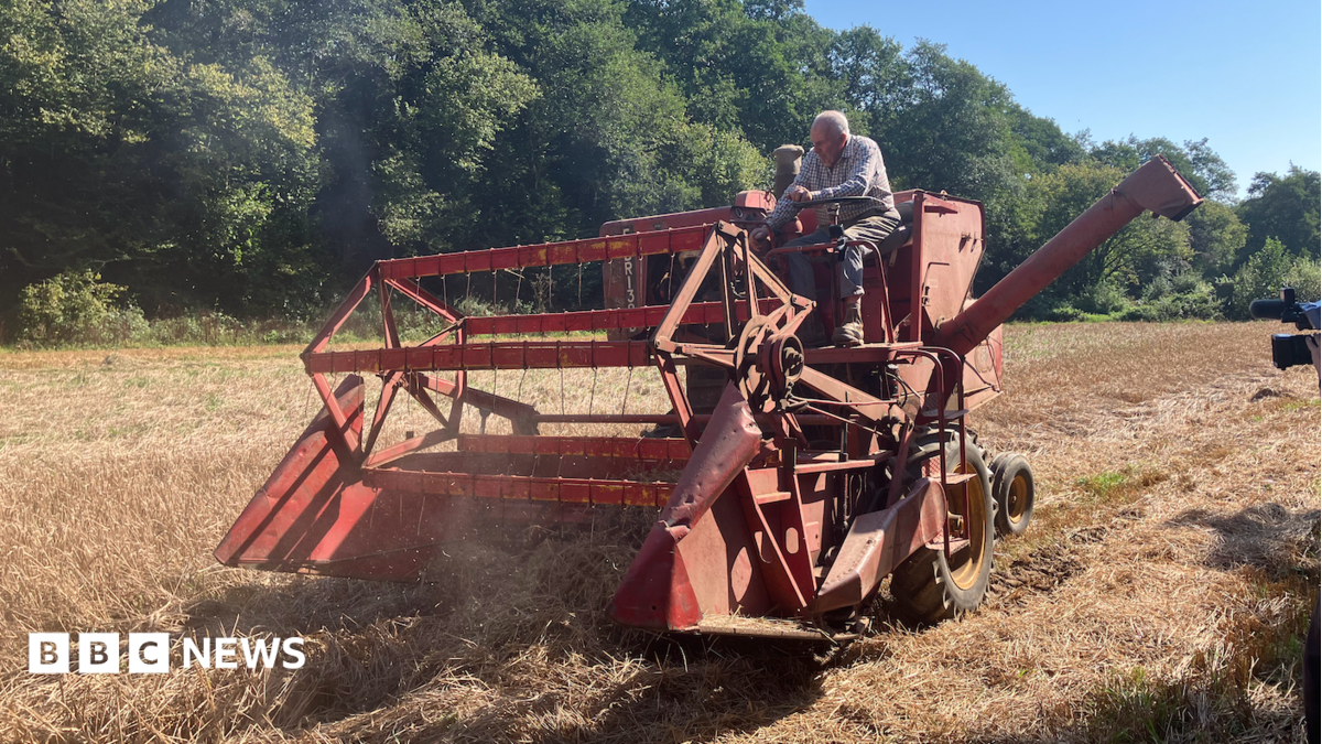 Machines from the 1960s bringing in the harvest in Cornwall - BBC News