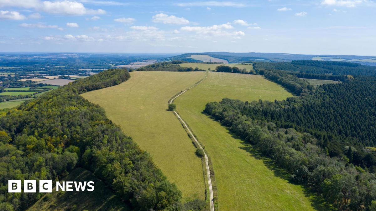 South Downs National Park launches biodiversity investment scheme - BBC ...