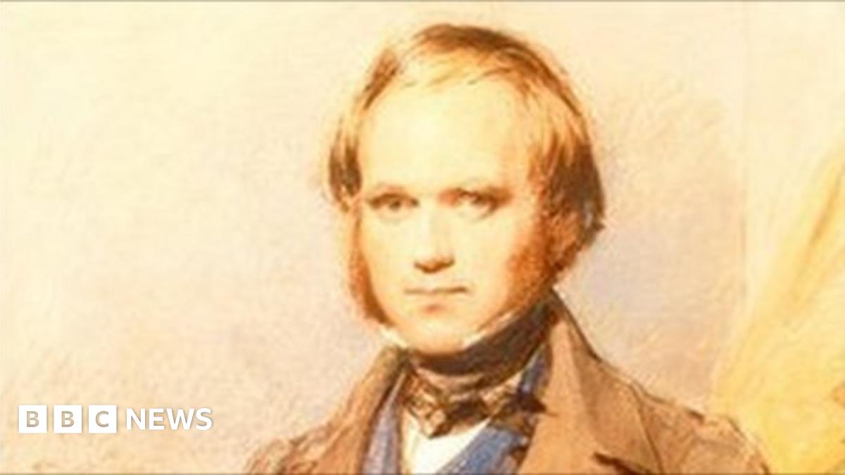 Charles Darwin's ecological experiment on Ascension isle - BBC News