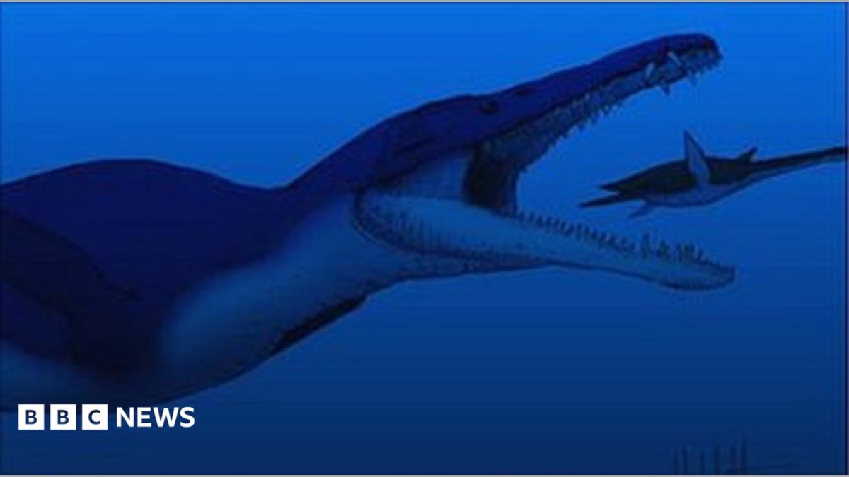 Colossal pliosaur fossil secrets revealed by CT scanner - BBC News