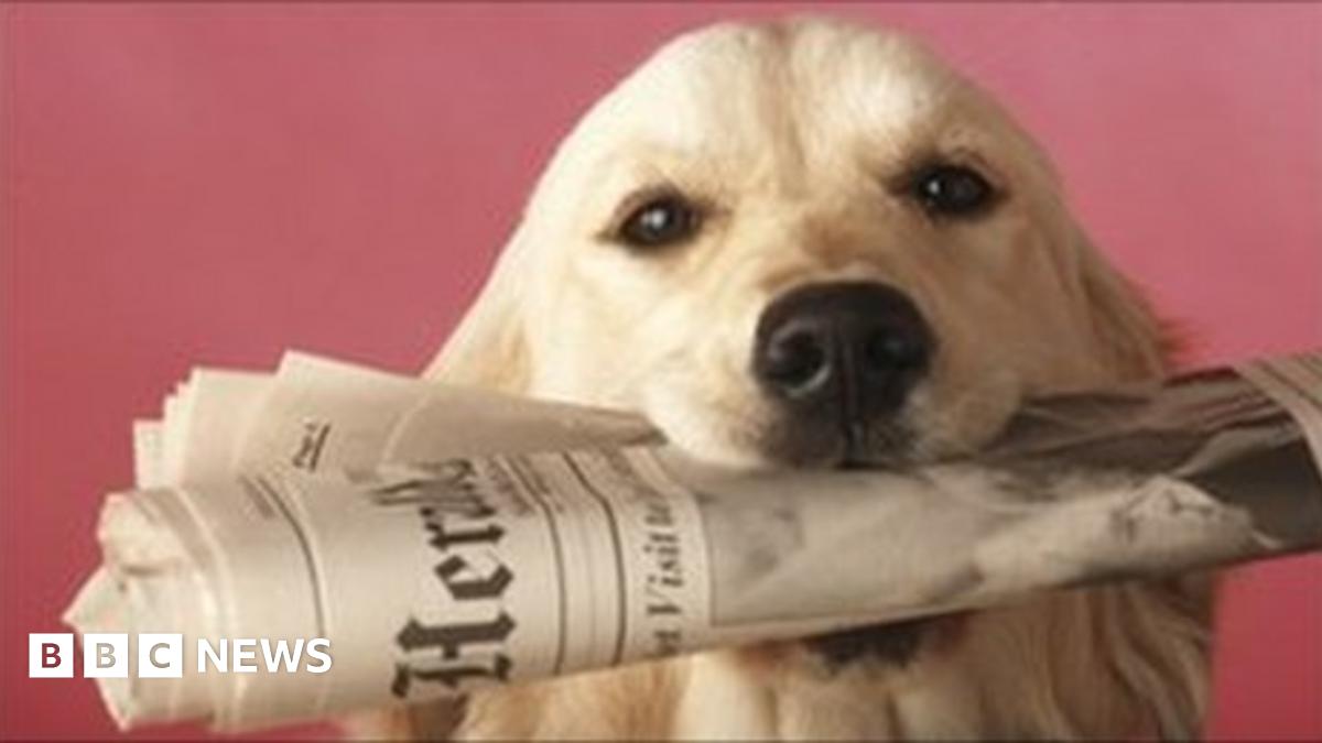 50 of the strangest newspaper names - BBC News