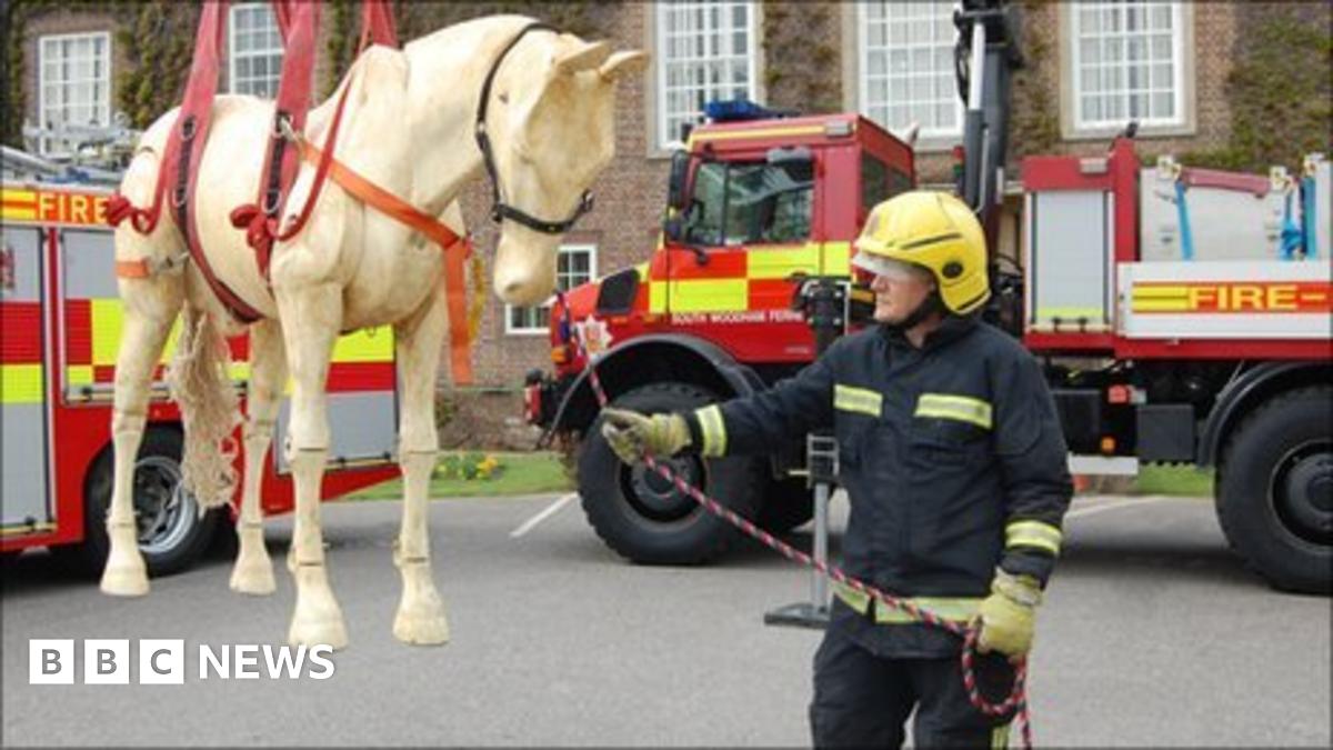 Fire service in Essex unveils large animal rescue unit - BBC News